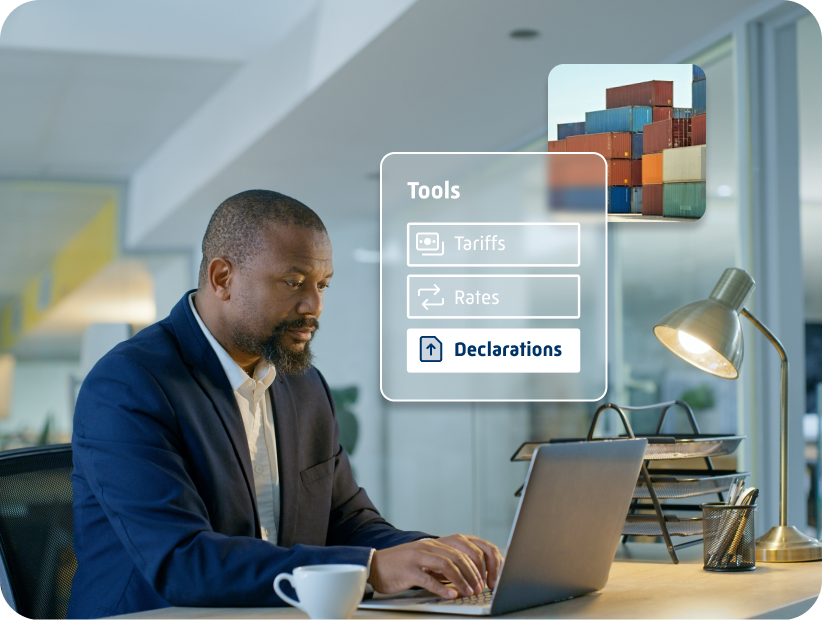 Our solutions | Webb Customs AI-based customs management system